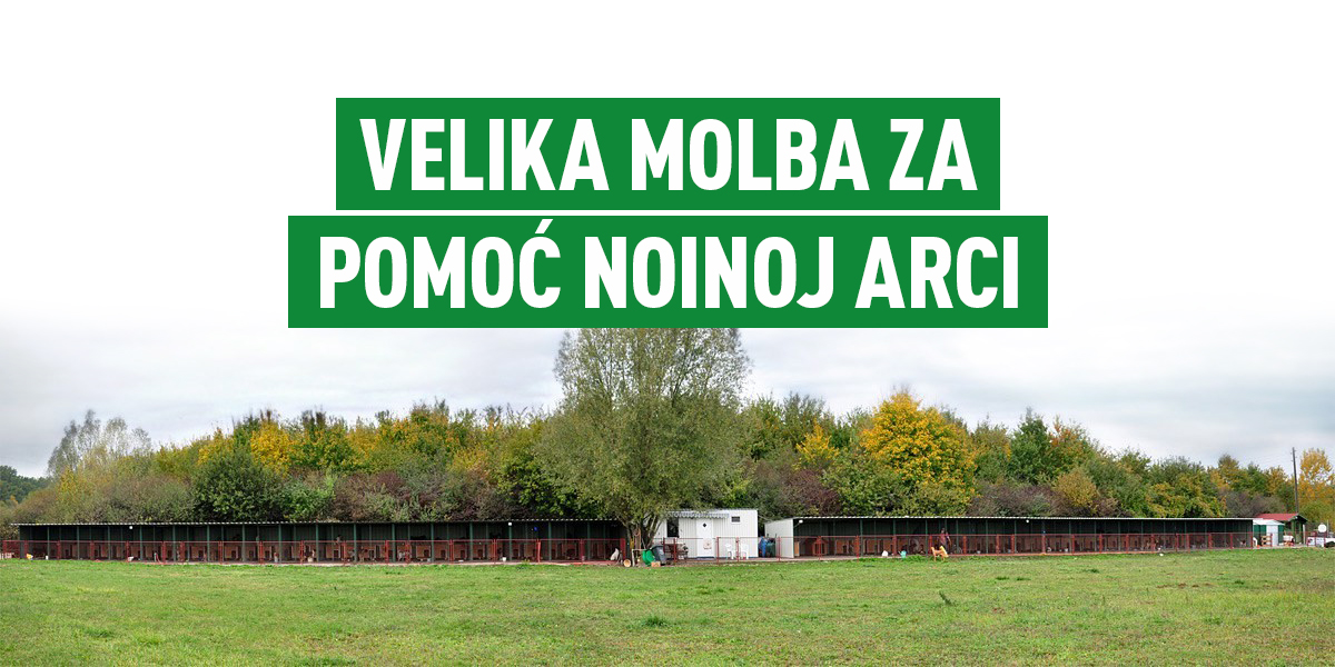 VELIKA MOLBA ZA POMOĆ Noinoj arci – Noina Arka